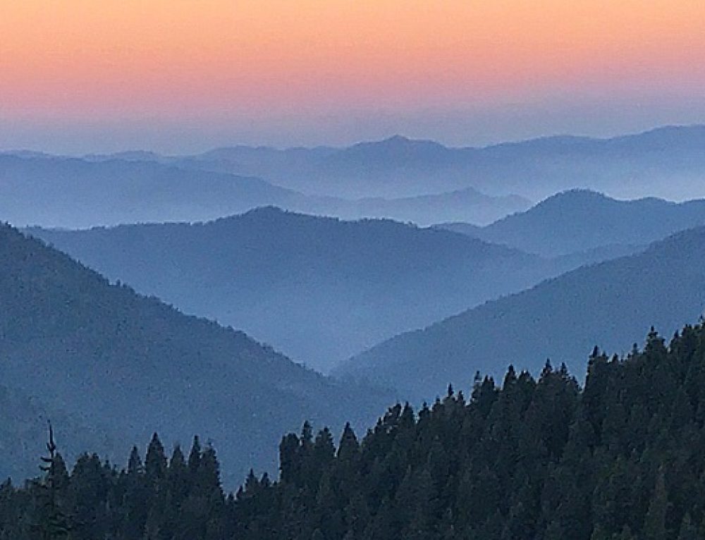 Tom Venuto's Epic And Unusual Journey On The 2650-Mile Pacific Crest ...