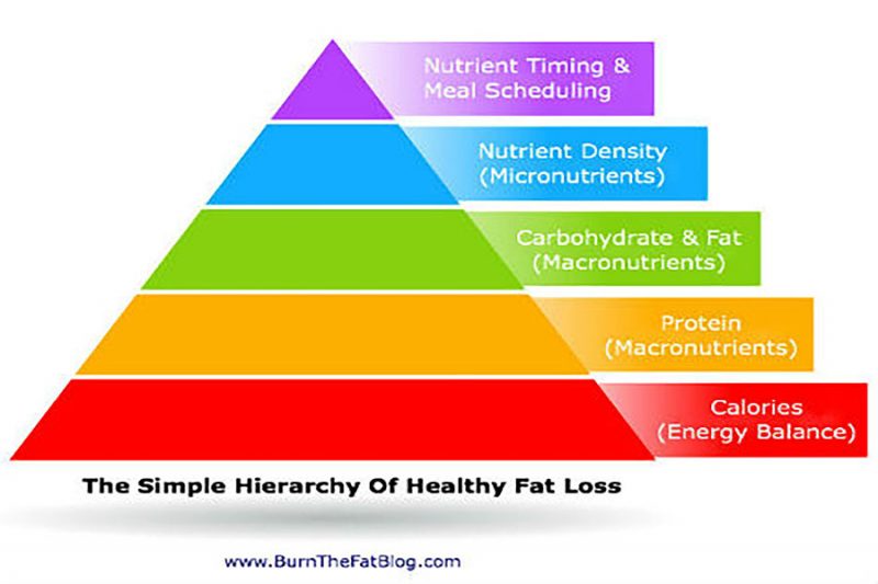 Blog - Page 11 of 49 - Burn The Fat Blog