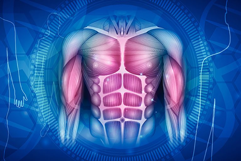 The Newest Muscle Building Science: 8 Research-Proven Breakthroughs ...